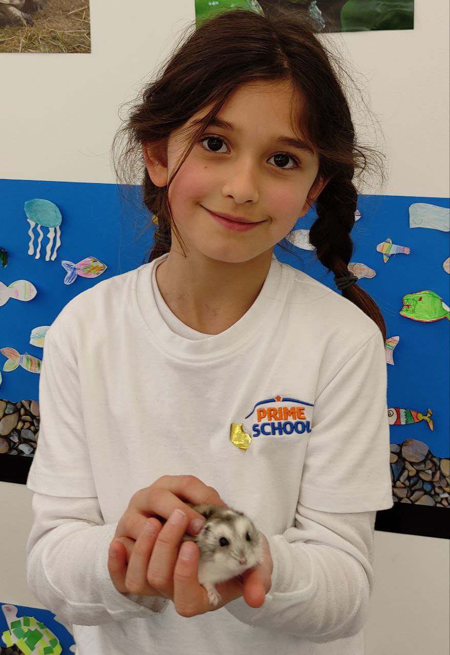 Preschool and Primary | Prime School International