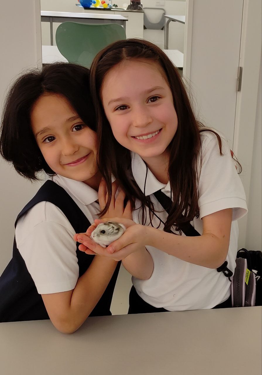 Prime School International